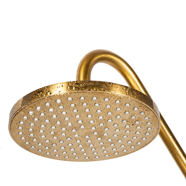 Pulse Brushed Gold Shower Bar System In The Shower Heads Department At