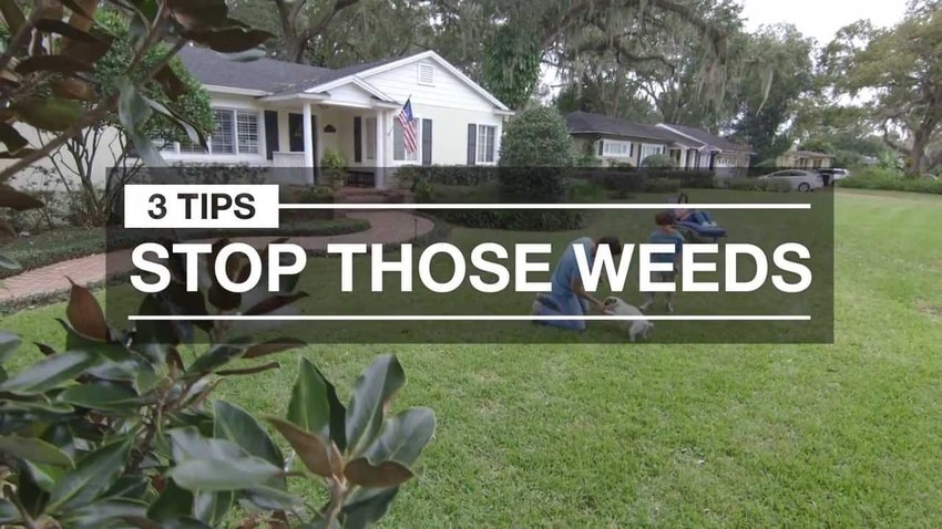 Control Weeds in Gardens: Easy DIY Video | Lowe's