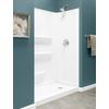 Style Selections 54x27 White 2-Piece Alcove Shower Kit (Common: 54-in x ...