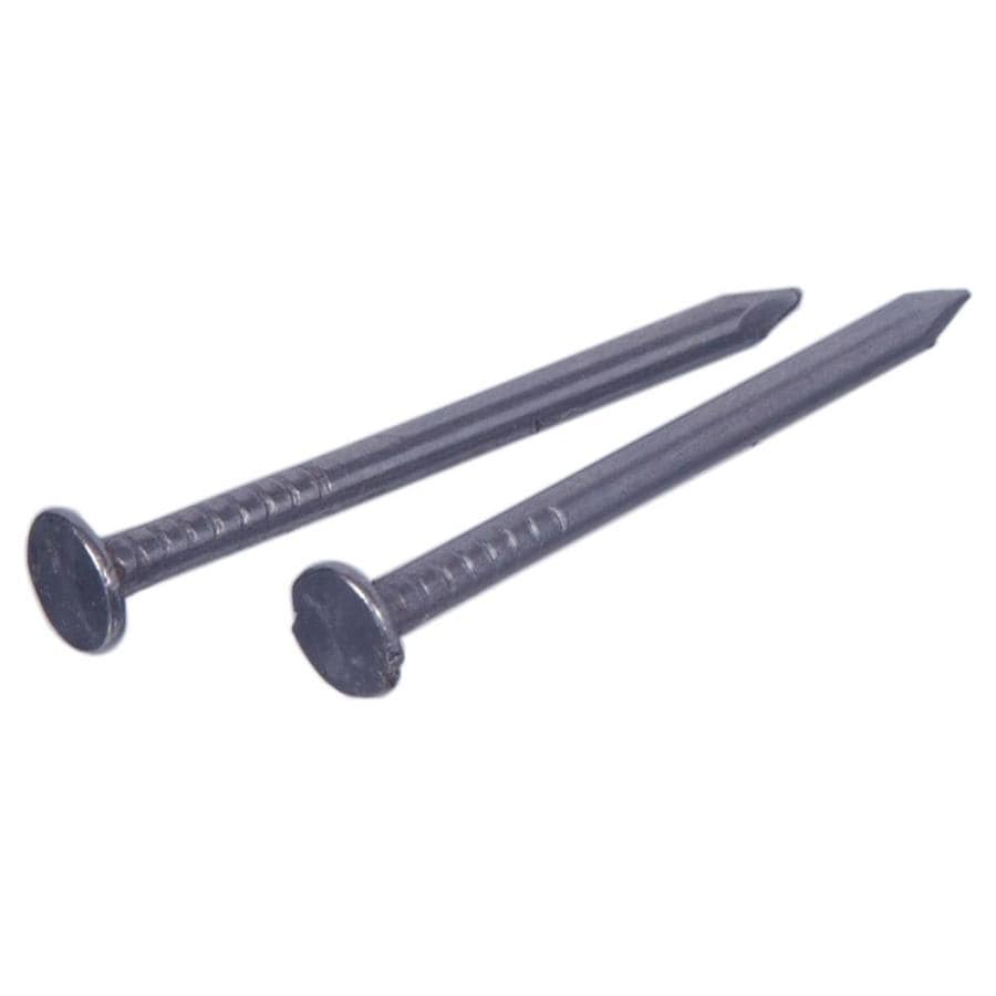 Hillman 2-1/2-in 10-Gauge Bright Steel Box Nails (20-Count) in the ...