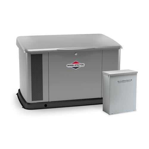 Briggs & Stratton 17000-Watt (LP)/15300-Watt (NG) Standby Generator in ...