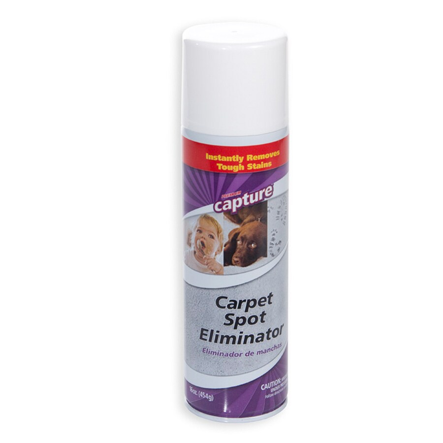 Capture Spot Eliminator 18 oz. at Lowes.com