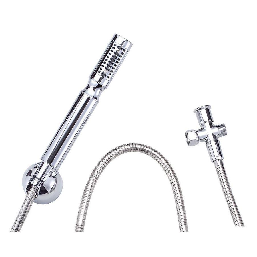 Danze Showerstick Chrome 1-Spray Handheld Shower at Lowes.com
