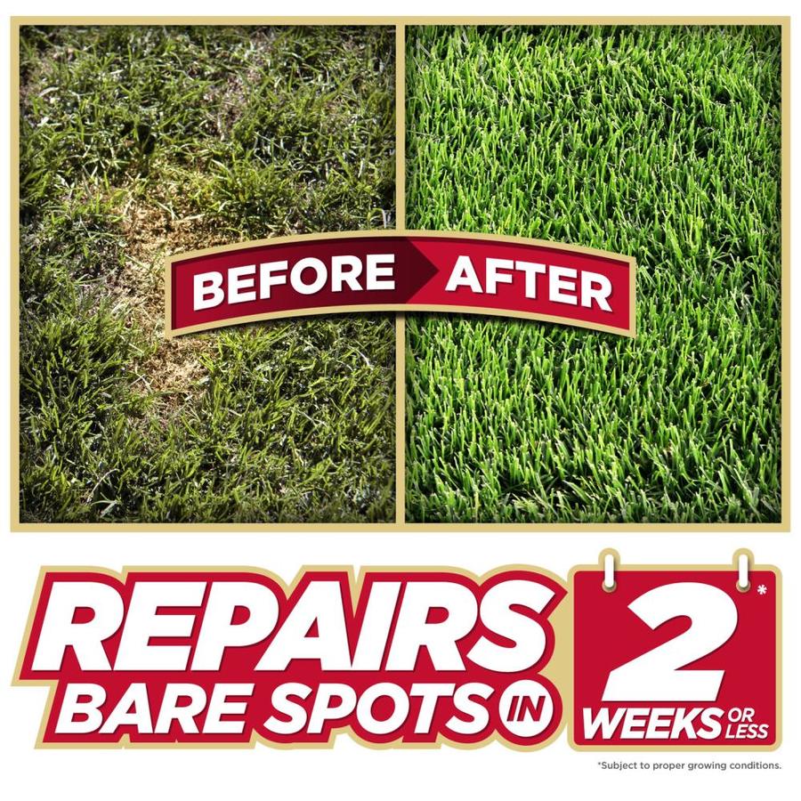 Pennington 5-lb Sun and Shade Lawn Repair Mix in the Lawn Repair Mix ...