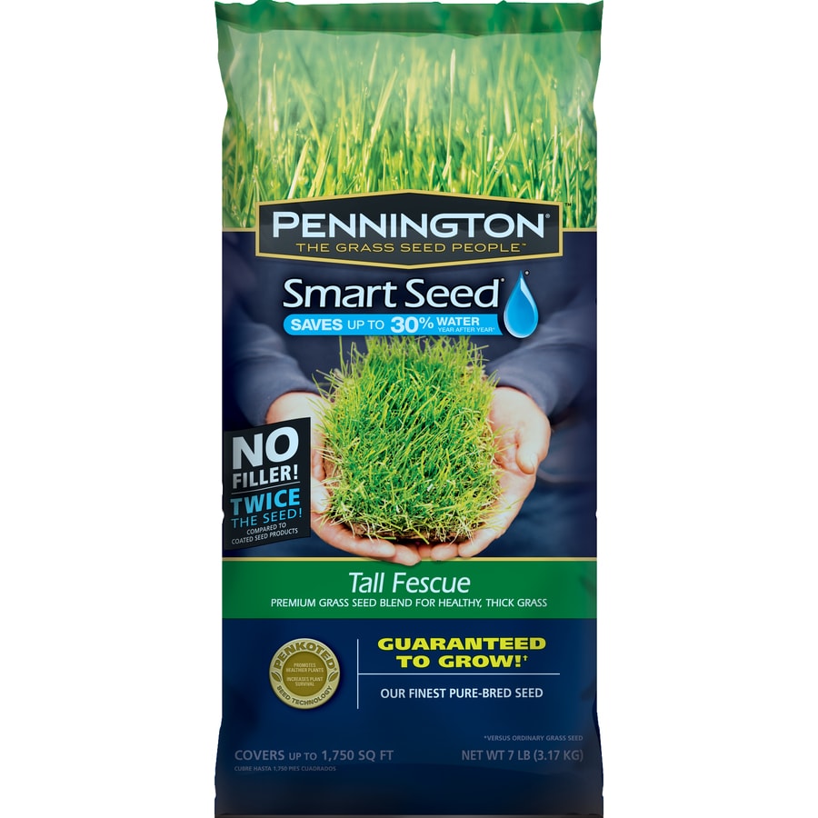 Pennington Smart seed 7-lb Tall Fescue Grass Seed at Lowes.com