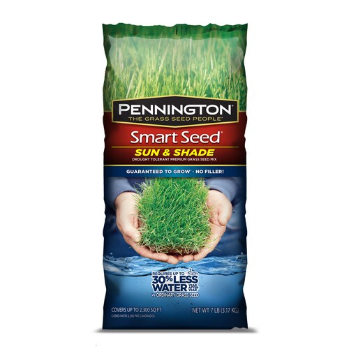 Pennington Smart Seed 7-lb Tall Fescue Grass Seed in the Grass Seed ...