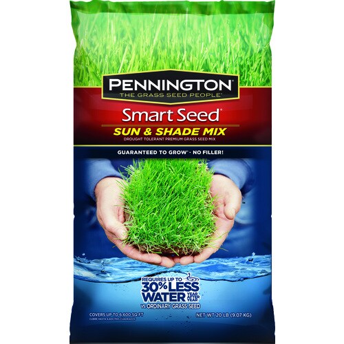 Pennington Smart Seed 20-lb Tall Fescue Grass Seed in the Grass Seed ...