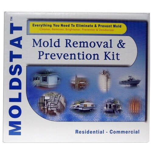 MoldSTAT Mold Removal and Prevention Kit at Lowes.com