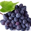1-Pack Mars Seedless Grape Bulbs (L1319) at Lowes.com