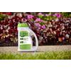Scotts Moss Control Granules for Lawns 4-lb Moss Control at Lowes.com