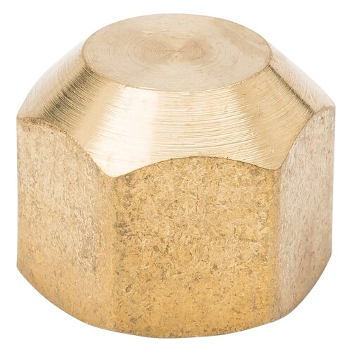 B&K 5/8-in Threaded Cap Fitting at Lowes.com