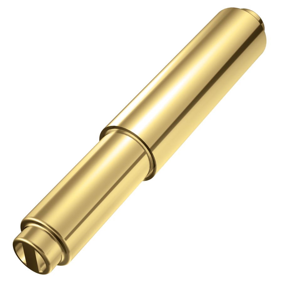 Moen Mason Polished Brass Surface Mount Spring-loaded Toilet Paper ...