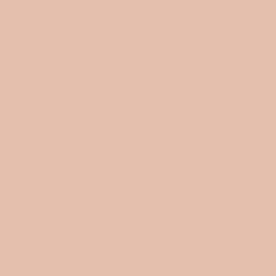 HGTV HOME by Sherwin-Williams Quartz Blush Interior Eggshell Paint ...