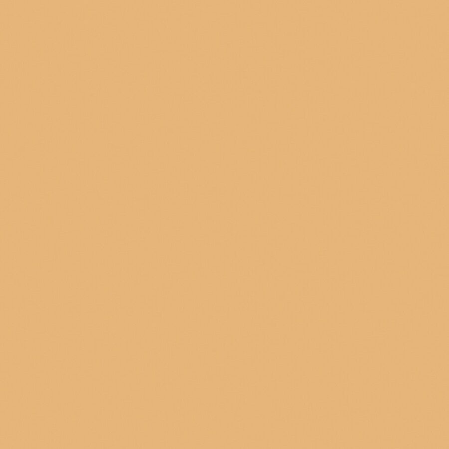 HGTV HOME by Sherwin-Williams Refined Amber Interior Eggshell Paint ...