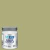 HGTV HOME by Sherwin-Williams Ryegrass Seed Interior Eggshell Paint ...