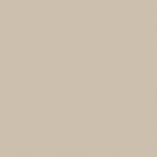 HGTV HOME by Sherwin-Williams Lambskin Beige Interior Eggshell Paint ...