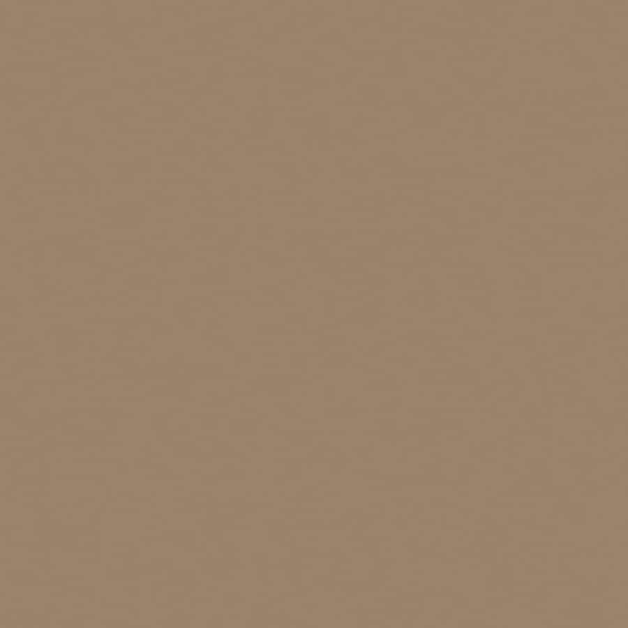 HGTV HOME by Sherwin-Williams Scottish Oak Interior Eggshell Paint ...