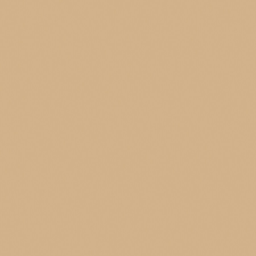 HGTV HOME by Sherwin-Williams Stonebriar Interior Paint Sample (Quart ...
