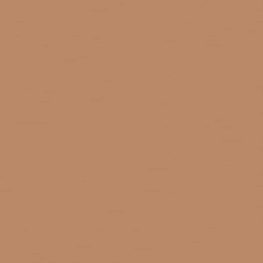 HGTV HOME by Sherwin-Williams Spiced Cider Interior Eggshell Paint ...