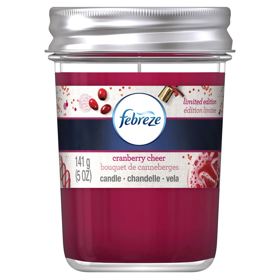 Febreze 5-oz Cranberry Cheer Thanksgiving Jar Candle at Lowes.com