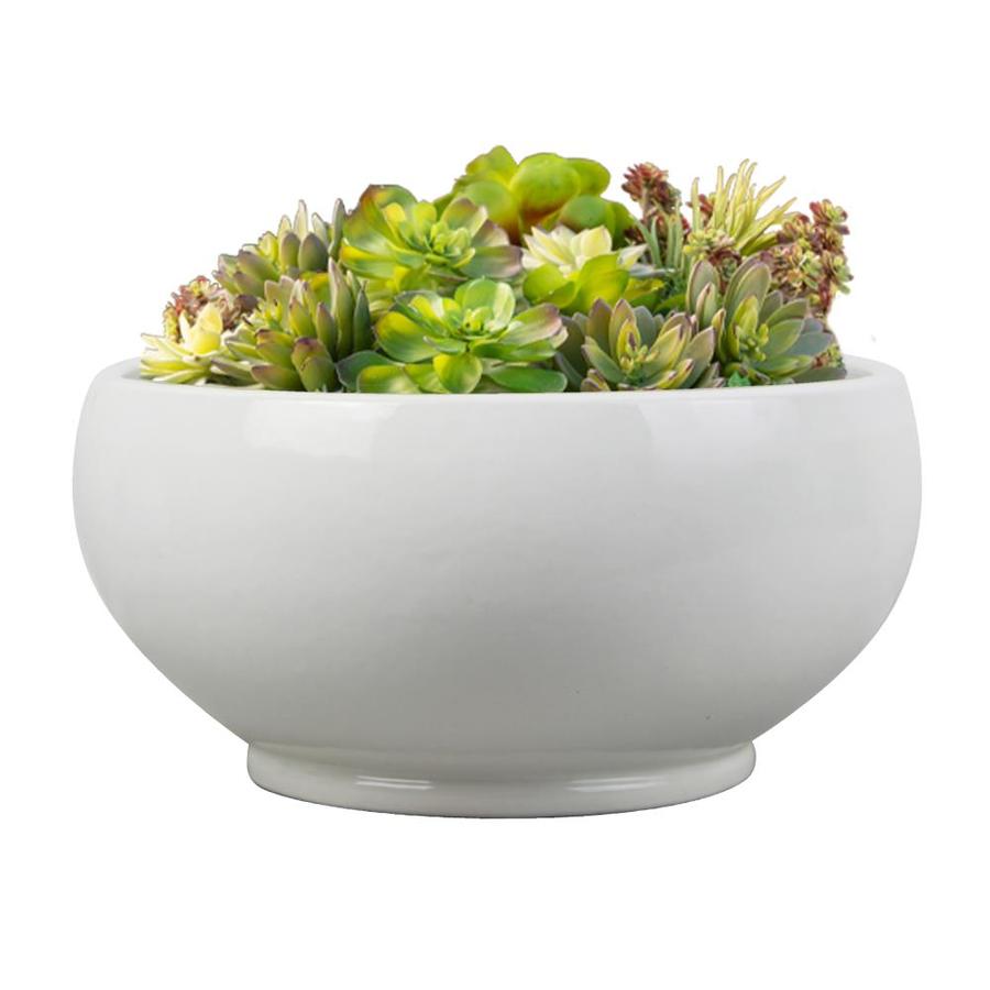 Trendspot 20.866-in W x 9.84-in H White Ceramic Low Bowl Planter in the ...