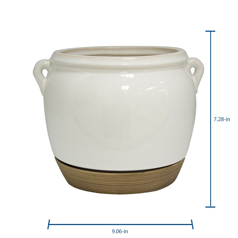 allen + roth 7.87-in W x 7.28-in H White Ceramic Planter in the Pots ...