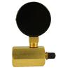 Danco Pressure Regulator at Lowes.com