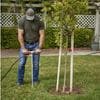Corona RootIRRIGATOR Root Irrigator at Lowes.com