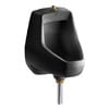 KOHLER 14-in W x 17.5-in H Black Wall-Mounted Urinal at Lowes.com