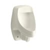 KOHLER 13.5-in W x 20.375-in H Biscuit Wall-mounted Urinal at Lowes.com