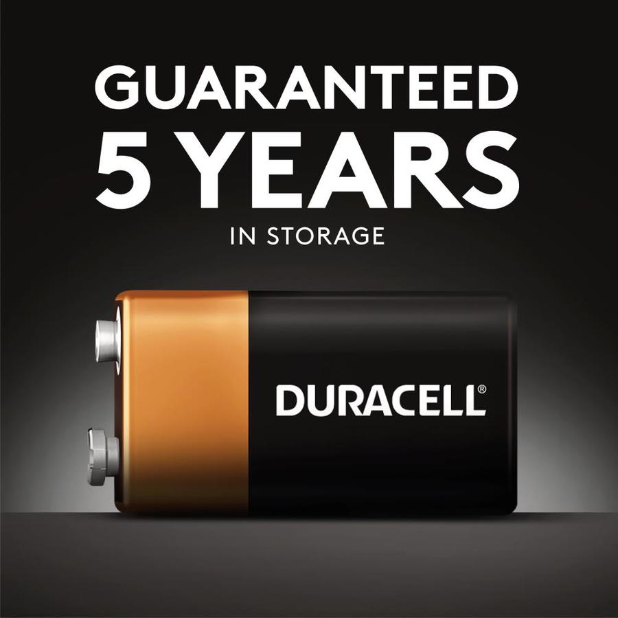 Duracell Coppertop Alkaline 9-Volt Batteries (2-Pack) in the 9-Volt ...