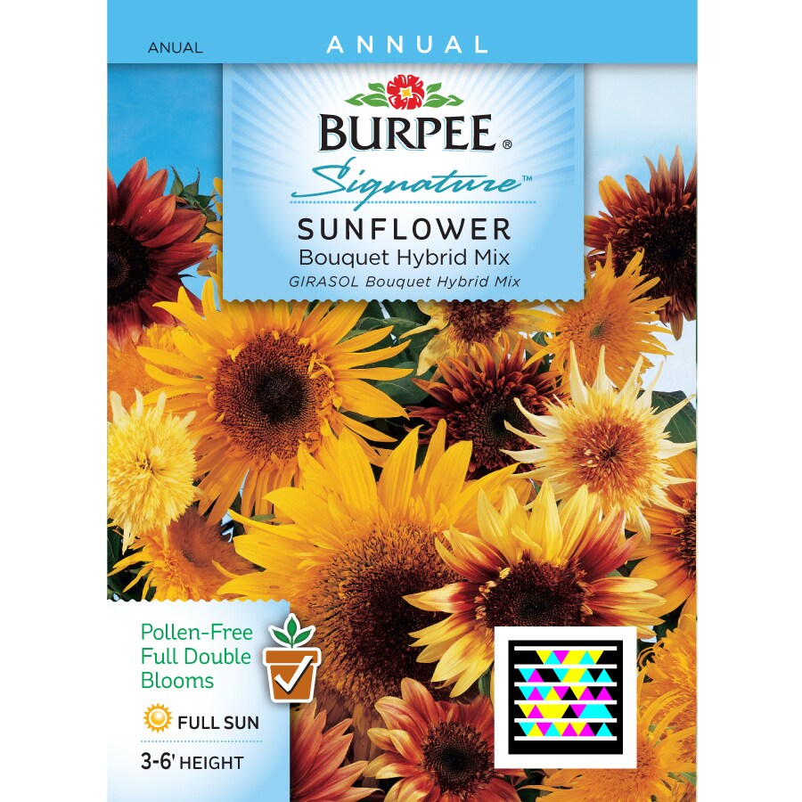 Burpee Sunflower Flower Seed Packet in the Flower Seeds department at ...