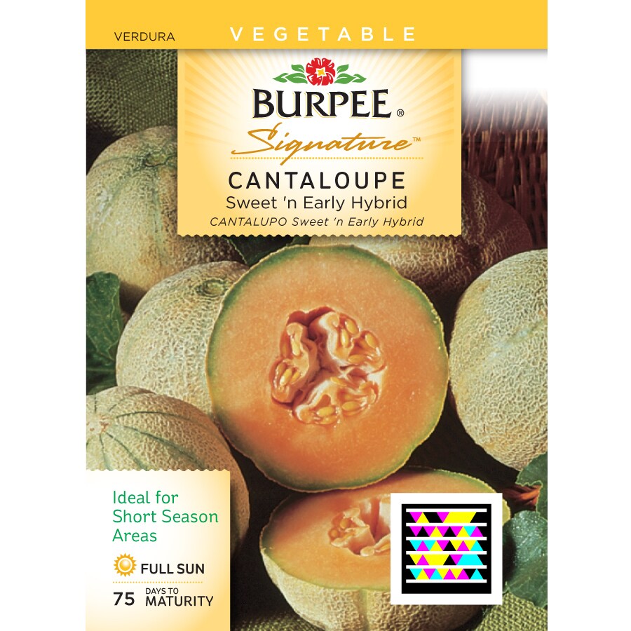 Burpee Cantaloupe Vegetable Seed Packet at Lowes.com