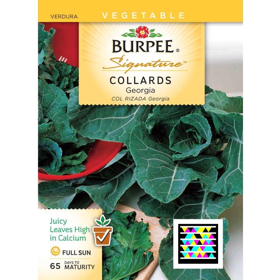 Burpee Collards Vegetable Seed Packet in the Flower Seeds department at ...