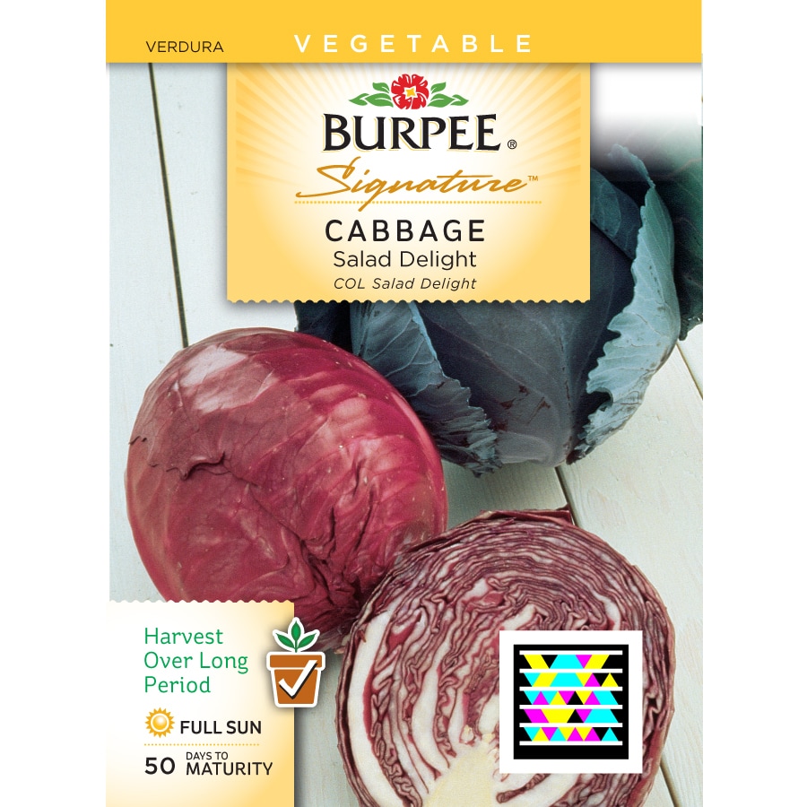 Burpee Cabbage Vegetable Seed Packet at Lowes.com