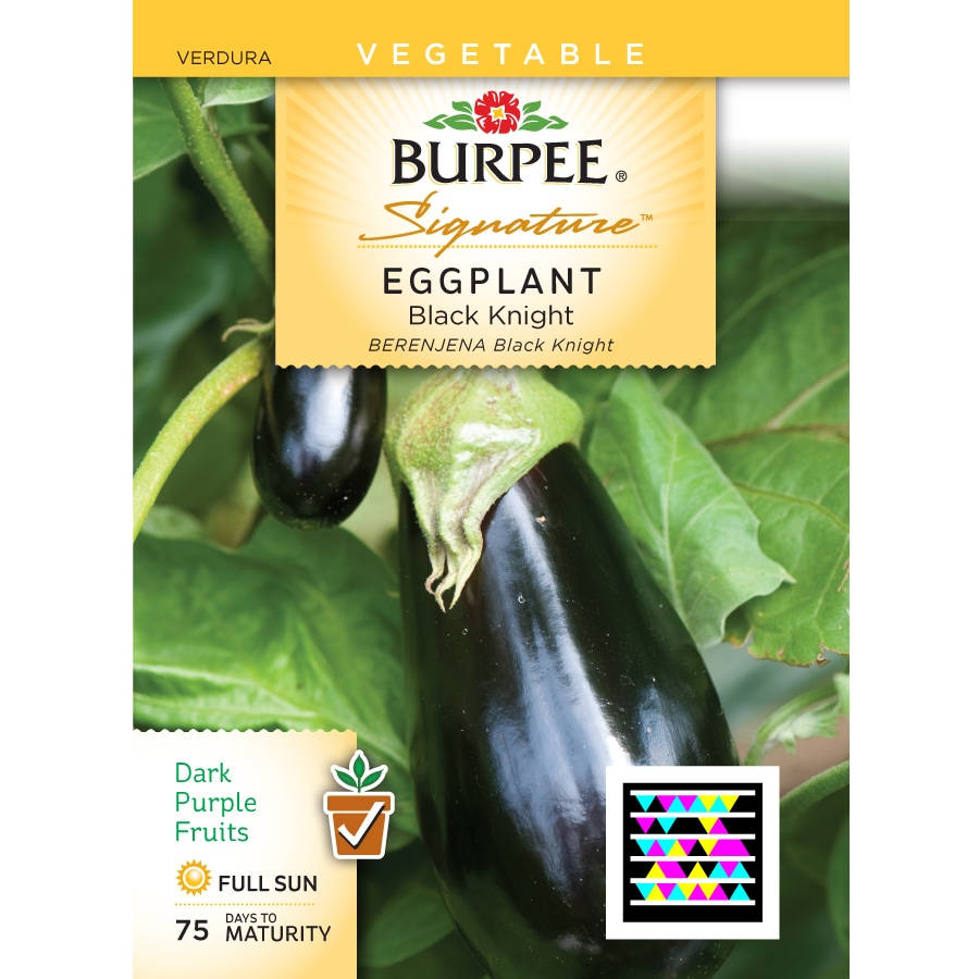 Burpee Eggplant Vegetable Seed Packet at Lowes.com