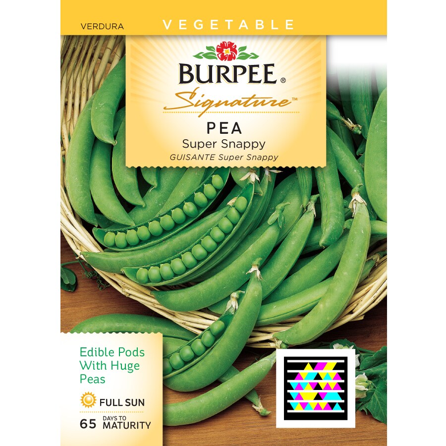 Burpee Pea Vegetable Seed Packet at Lowes.com
