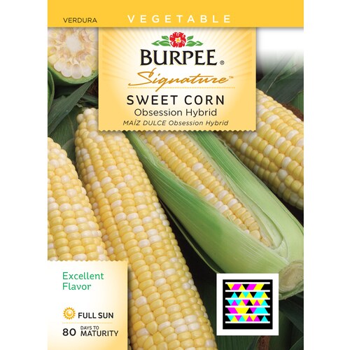 Burpee Corn Vegetable Seed Packet in the Flower Seeds department at ...