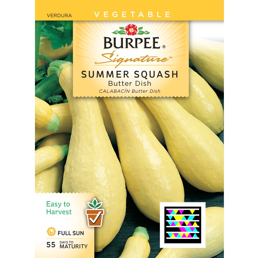 Burpee Squash Vegetable Seed Packet at Lowes.com