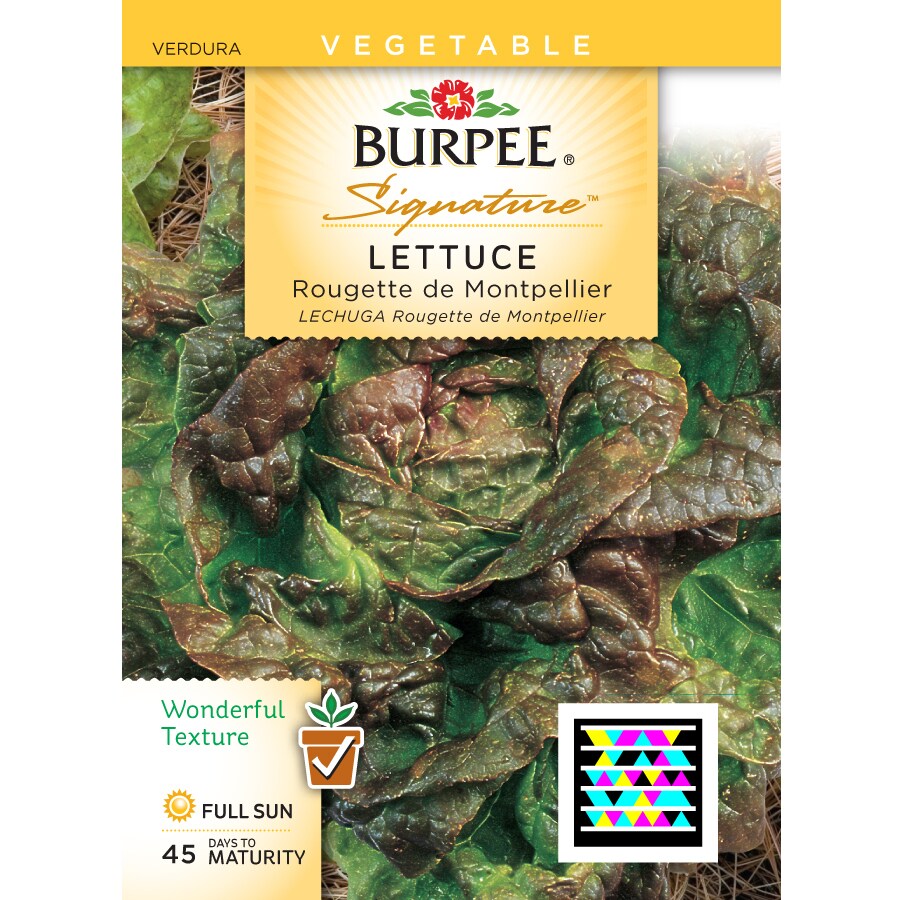Burpee Lettuce Vegetable Seed Packet at Lowes.com