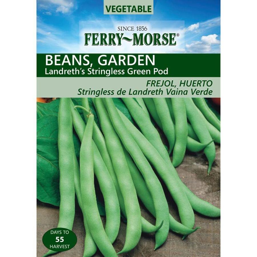 Ferry-Morse 23 Gram(S) Bean Landreth's Stringless Green Pod (L0000) at ...