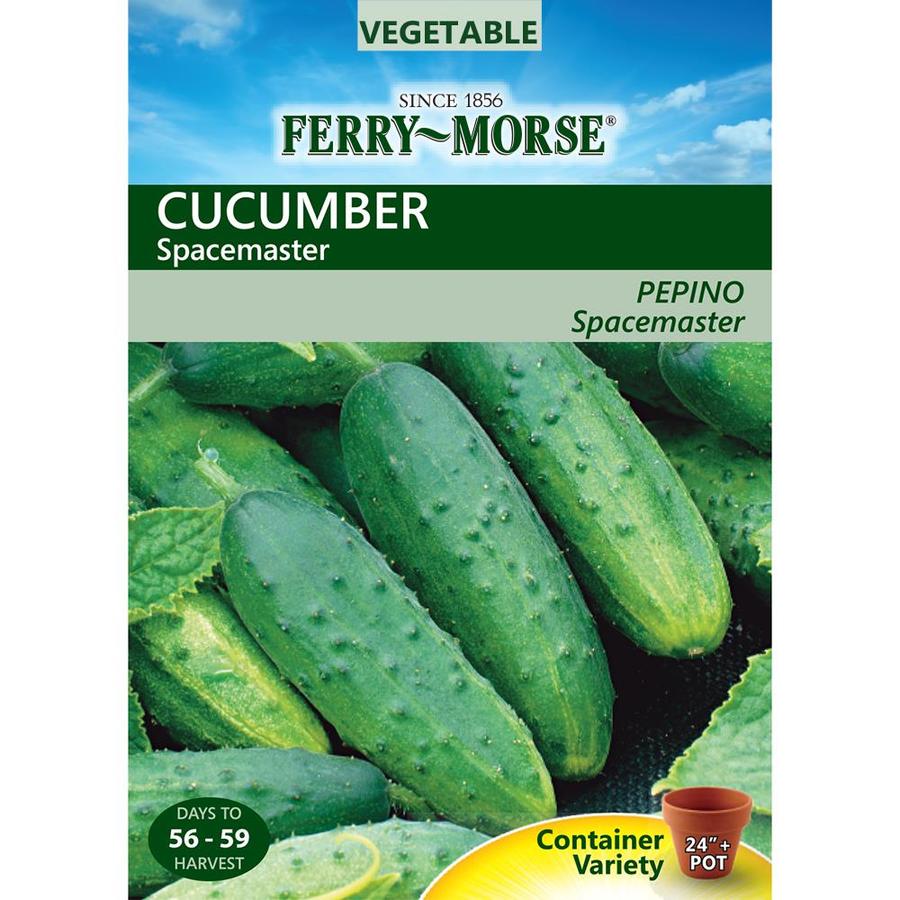 Ferry-Morse 1.2-Grams Cucumber Spacemaster (L0000) at Lowes.com