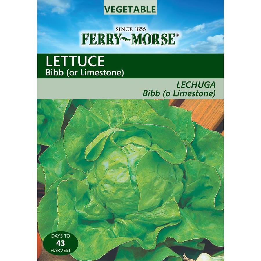 Ferry-Morse Lettuce Bibb Limestone at Lowes.com