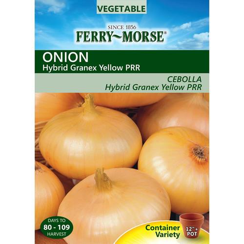 Ferry-Morse 1-Gram Onion Hybrid Granex Yellow (L0000) in the Vegetable ...