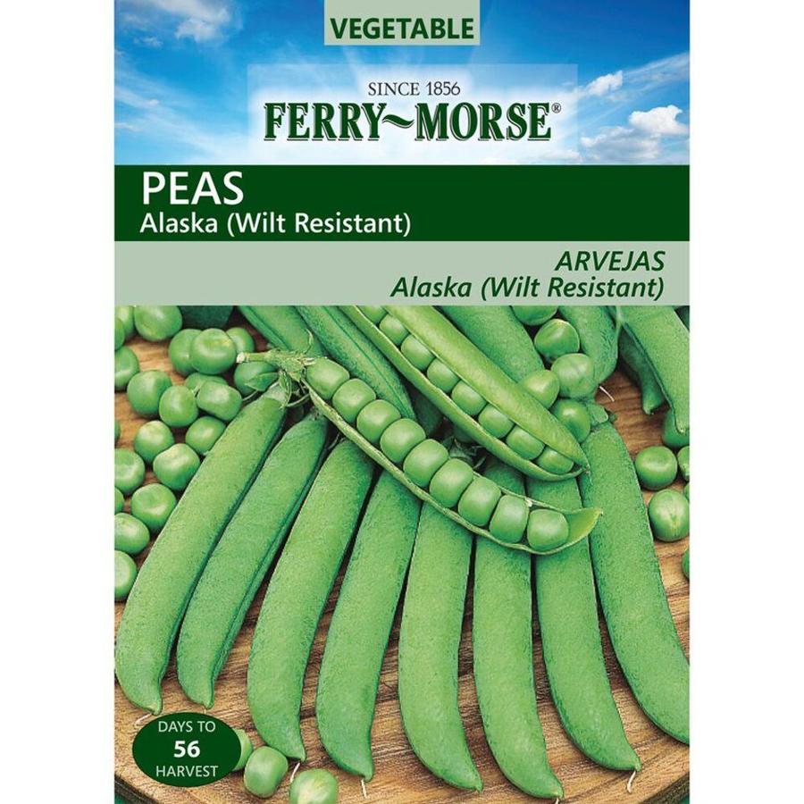 Ferry-Morse Pea Alaska Wilt Resistant at Lowes.com