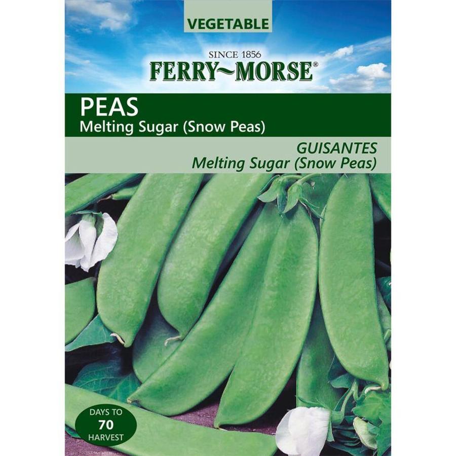 Ferry-Morse Pea Melting Sugar Snow Peas at Lowes.com
