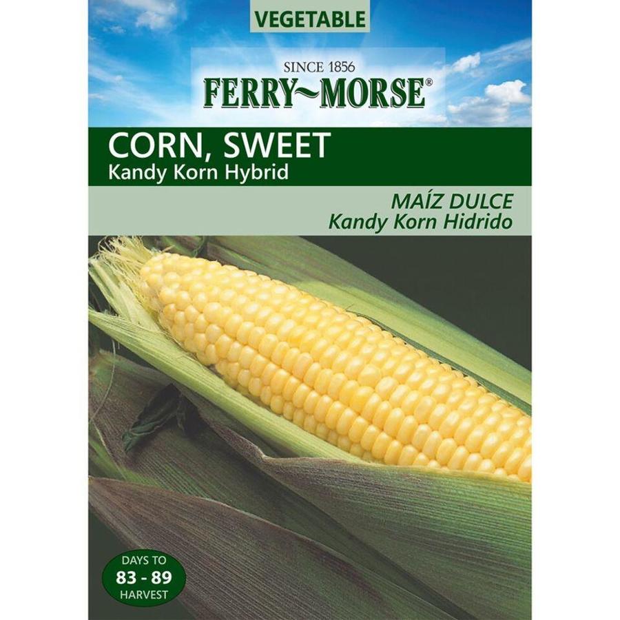 Ferry-Morse 10 Gram(S) Sweet Corn Kandy Korn Hybrid (L0000) at Lowes.com