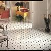 Armstrong Flooring 45-Piece 12-in x 12-in Black/White Peel and Stick ...