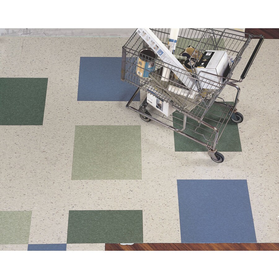 Armstrong 12-in x 12-in Coaster Greige Chip Pattern Commercial Vinyl ...