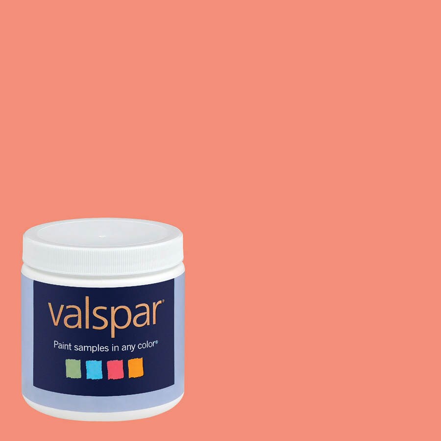 Valspar Homestead Apricot Interior Satin Paint Sample in the Exterior ...